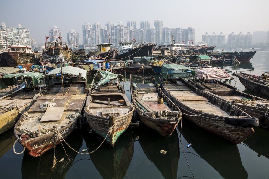 Shenzhen's Historical Fishing Harbor Embraces its New Park - Renchispace